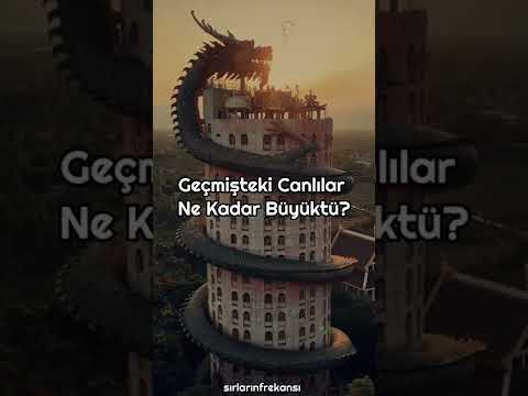 Geçmişteki Canlılar Ne Kadar Büyüktü?