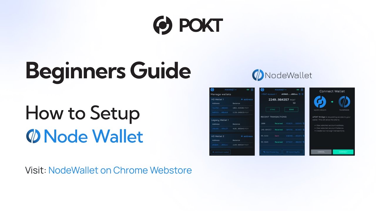 How to Setup Node Wallet - POKT Network Beginner's Guide - YouTube