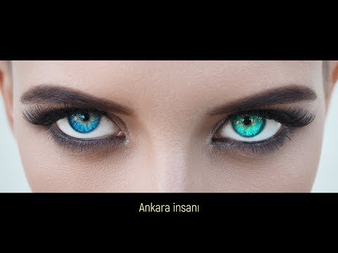 Hayvanları Koruma Günü Kutlu Olsun