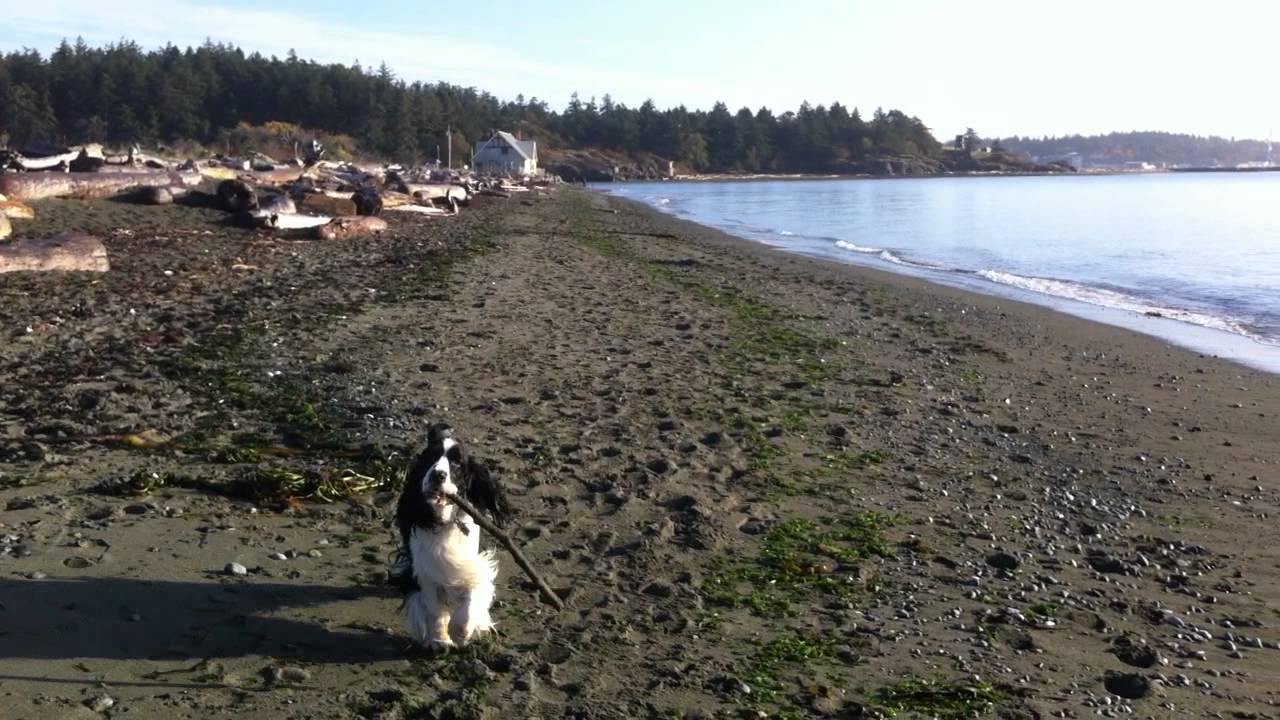 Esquimalt Lagoon Beach - YouTube