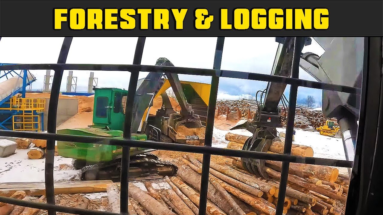 FDR Feeds The Chipper Pulp Wood With The Madill 2800 - Real Life ...