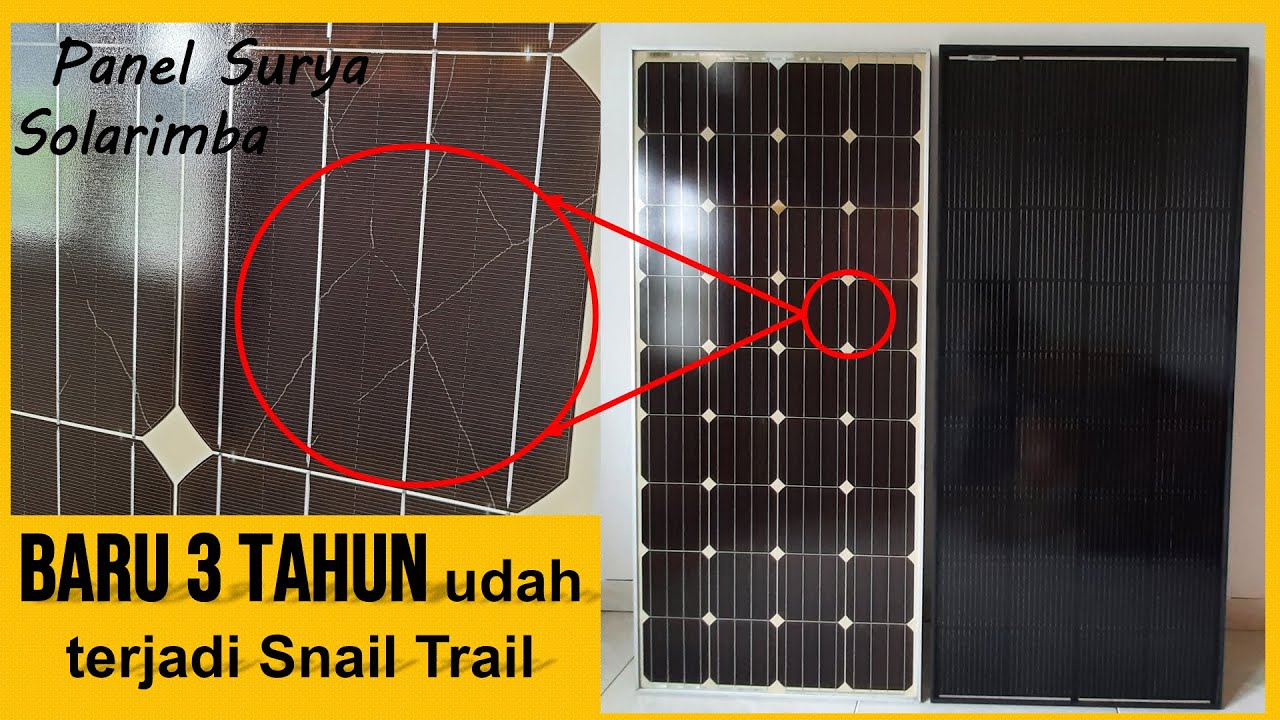 Kondisi Panel Surya Setelah Beberapa Tahun Digunakan | Cek Snail Trail ...
