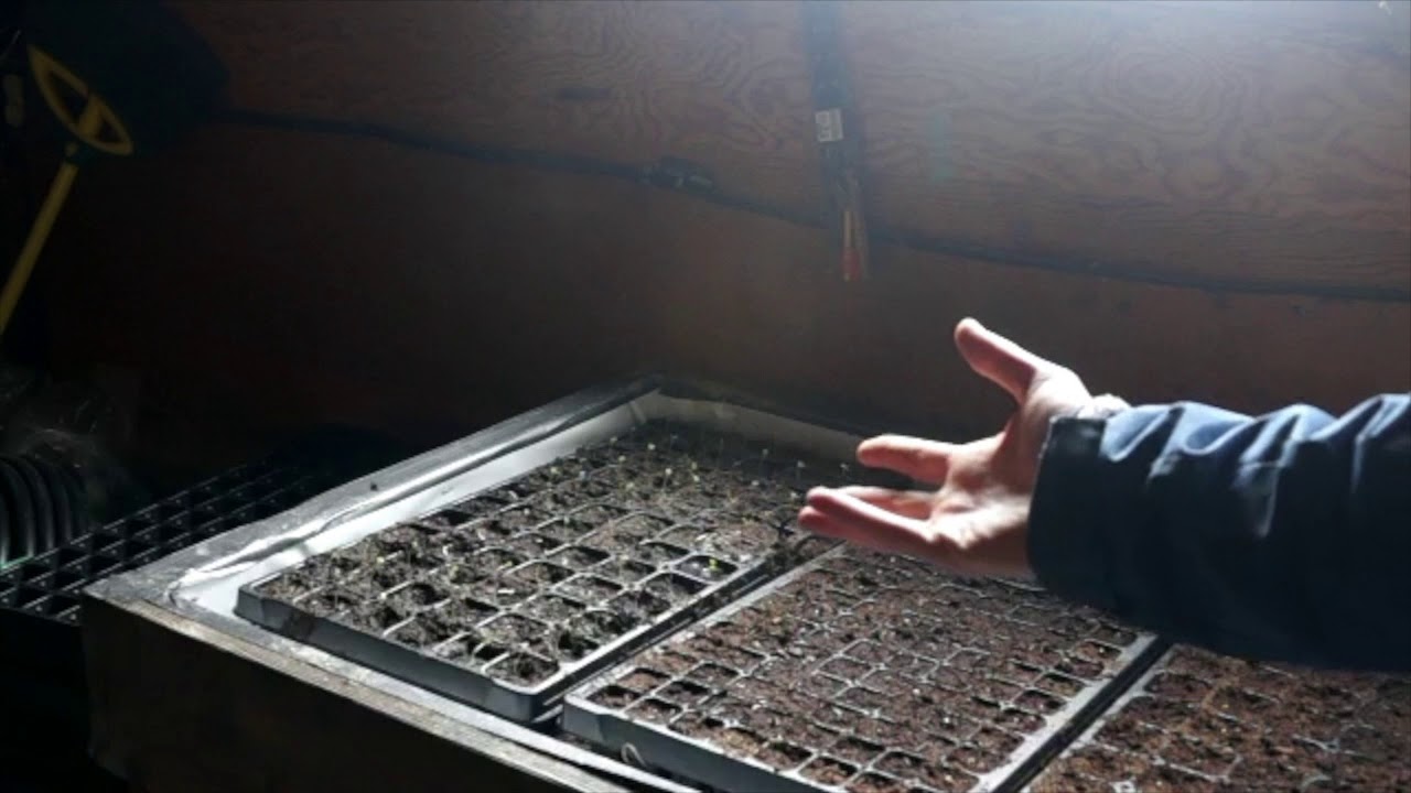 Germinate Seeds FAST With an Easy DIY Seedbed Warmer - YouTube