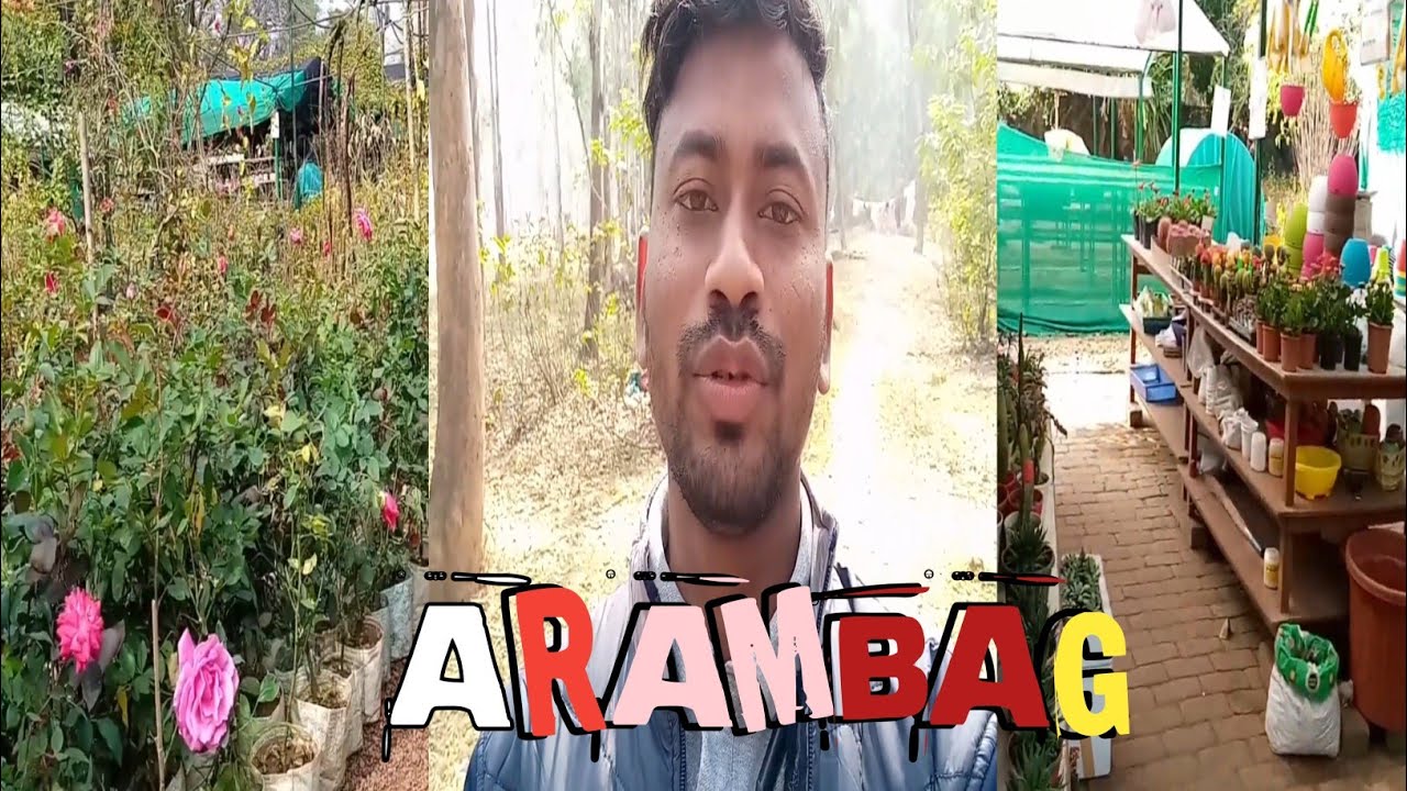 Arambag Nursery Re ched Hui ena 🤔 ||Arambag Nursery||Plant Nursery ...