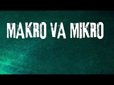 Makro va Mikro o’yin haqida