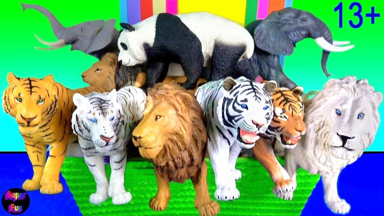 Big Cat Week - Zoo Animals - Lion Tiger Panda Elephant 13+ - YouTube