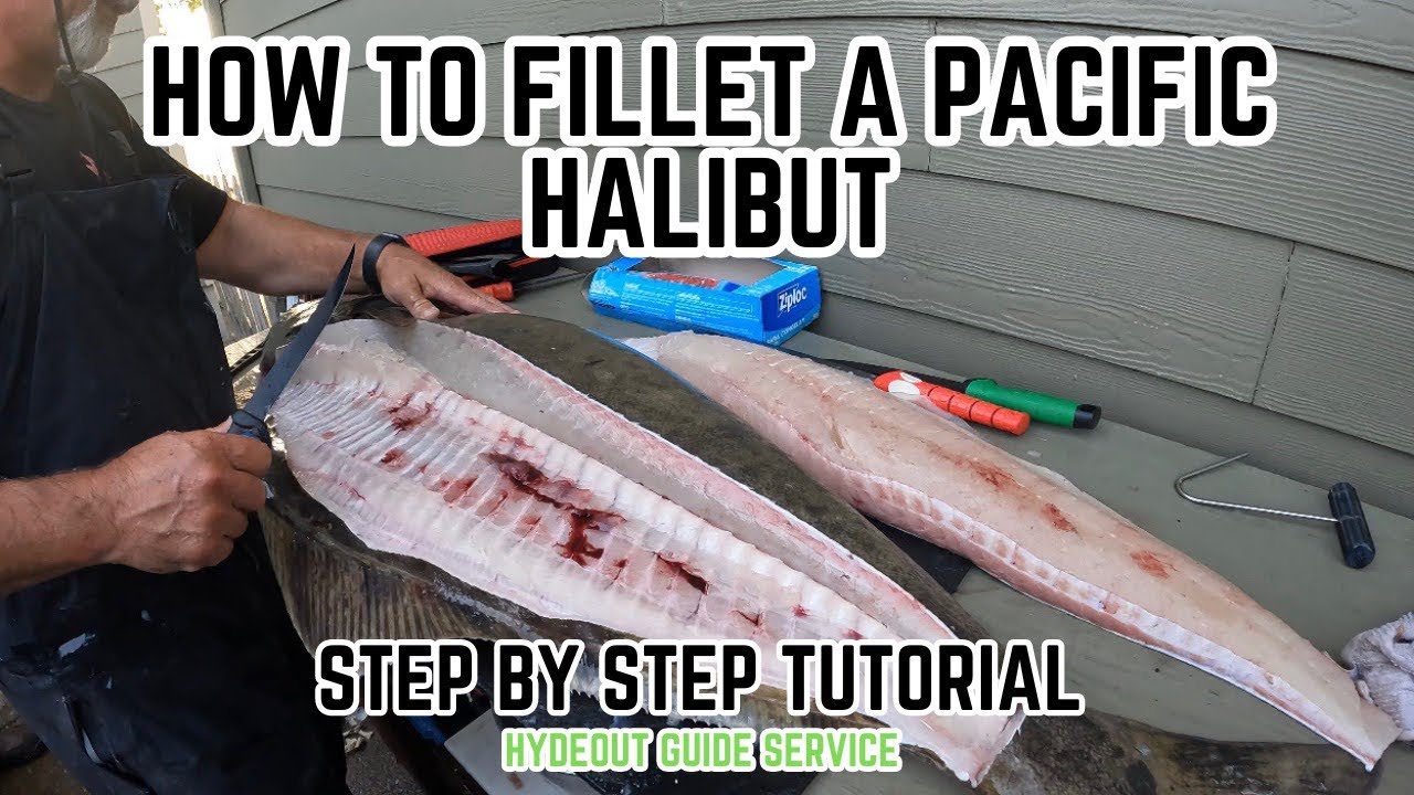 How To Fillet A Pacific Halibut | Step By Step Tutorial | Hydeout Guide ...