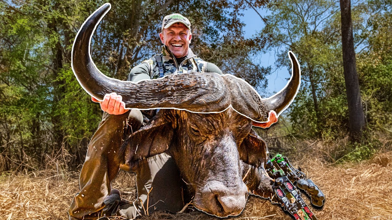 Bowhunting The BIGGEST Cape Buffalo Of My Life! | Hunting Black Death ...