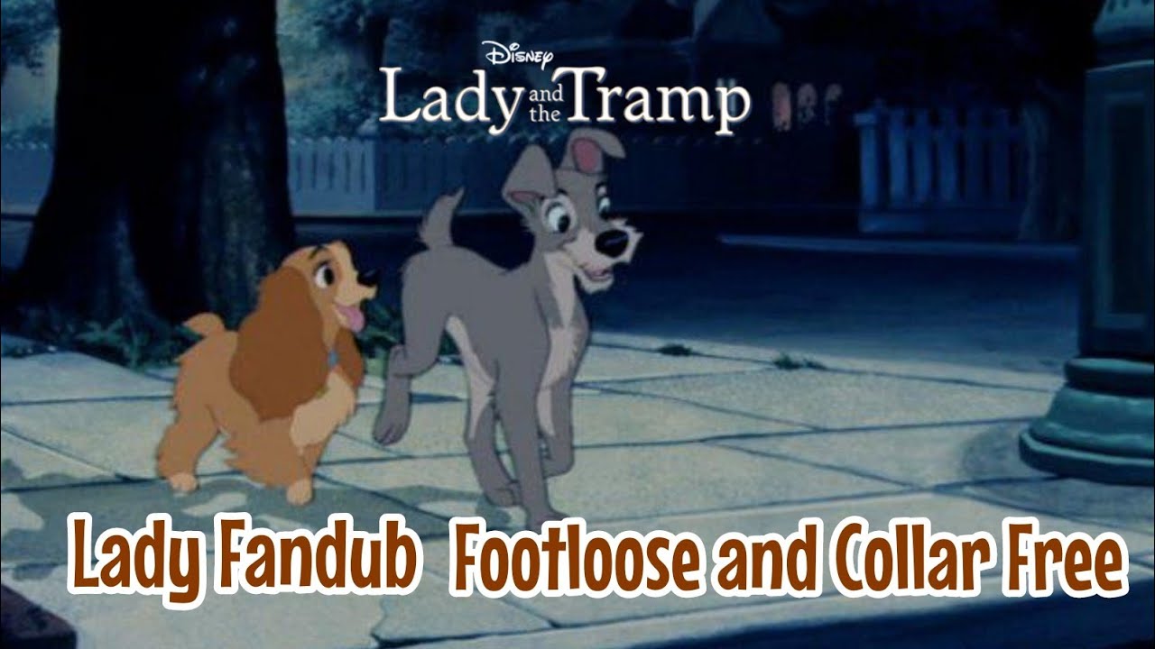 Lady and The Tramp | Footloose and Collar Free | Lady Fandub - YouTube