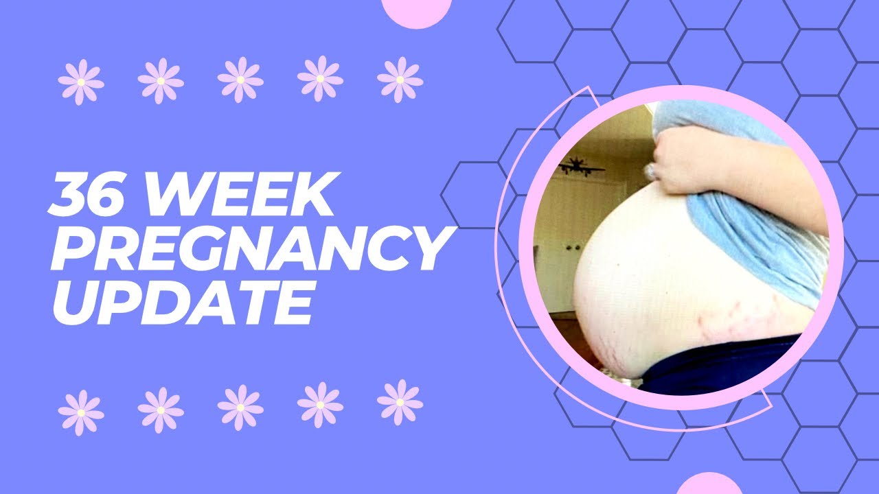 36 Week Pregnancy Update • Weekly Bumpdate Third Trimester • - YouTube