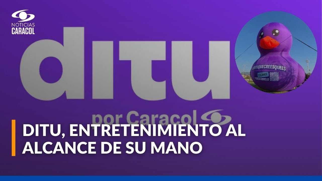 El misterio de los patos morados en Bogotá y Ditu, la nueva plataforma ...