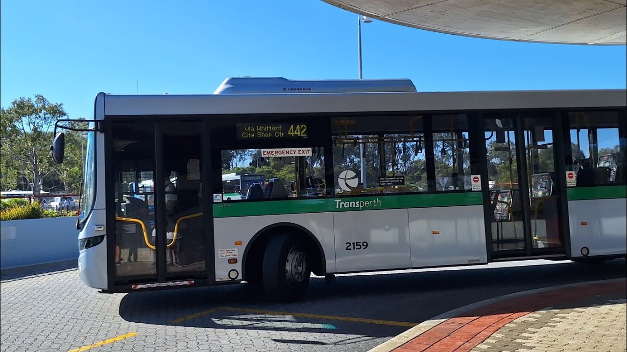 [Many Choices] Transperth Bus Route No. 442 (TP2159) Whitfords Station ...