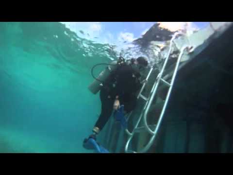 Jumping off Dive Boat with prosthetic swim/scuba foot - YouTube
