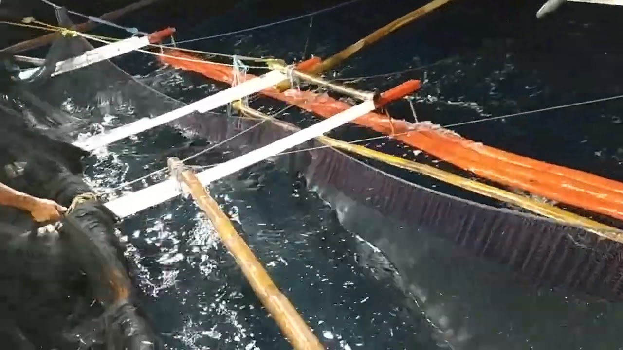 bicol basnig fishing - YouTube