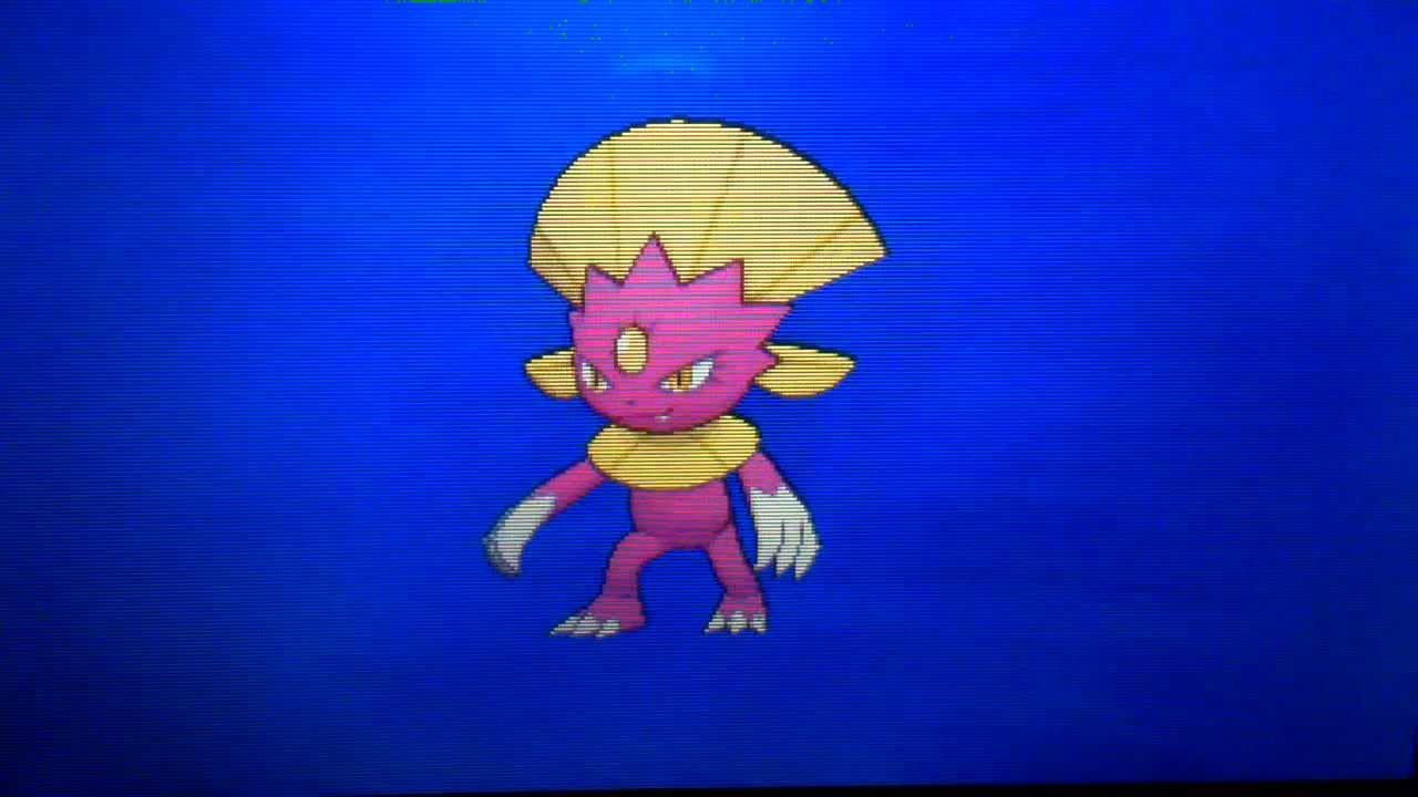 Pokemon X - Shiny Farfuret évolue Dimoret / Shiny Sneasel evolve to ...