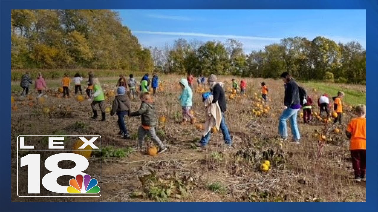 Kentucky farms prepare to open for fall season - YouTube