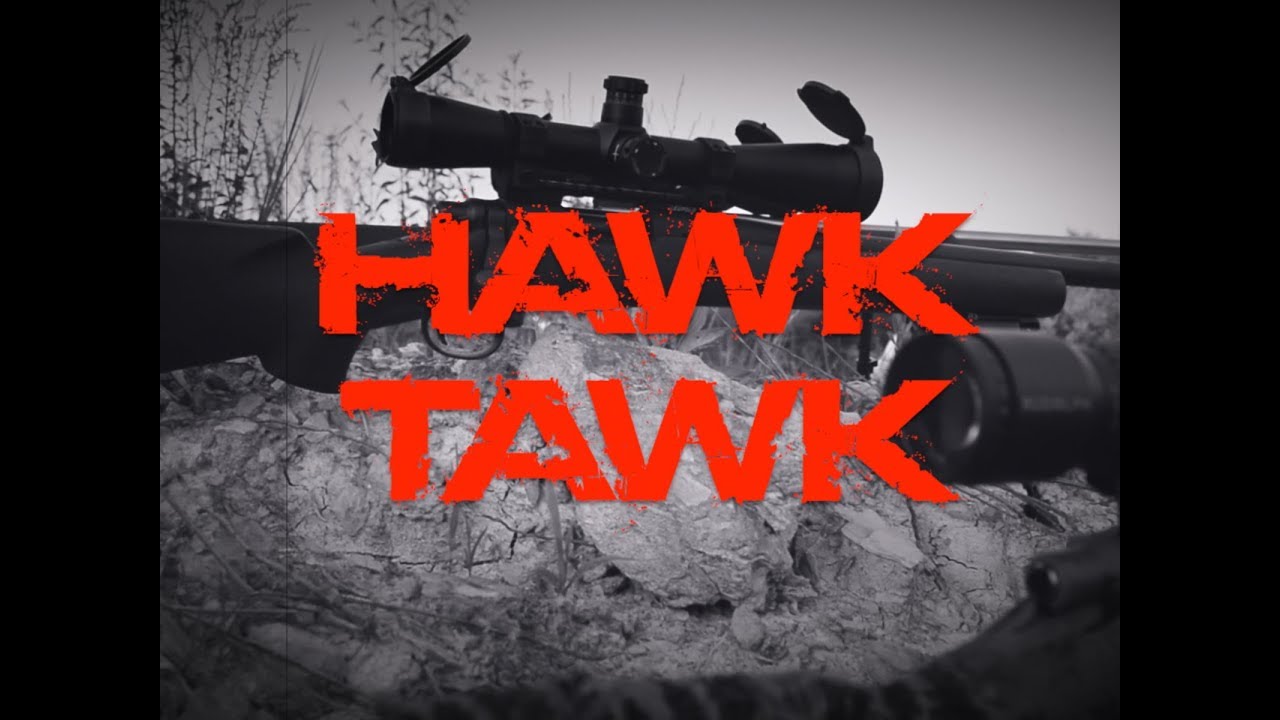 Hawk Tawk EP. 3 "Precision Semi Auto vs Precision Bolt: Part 1" - YouTube