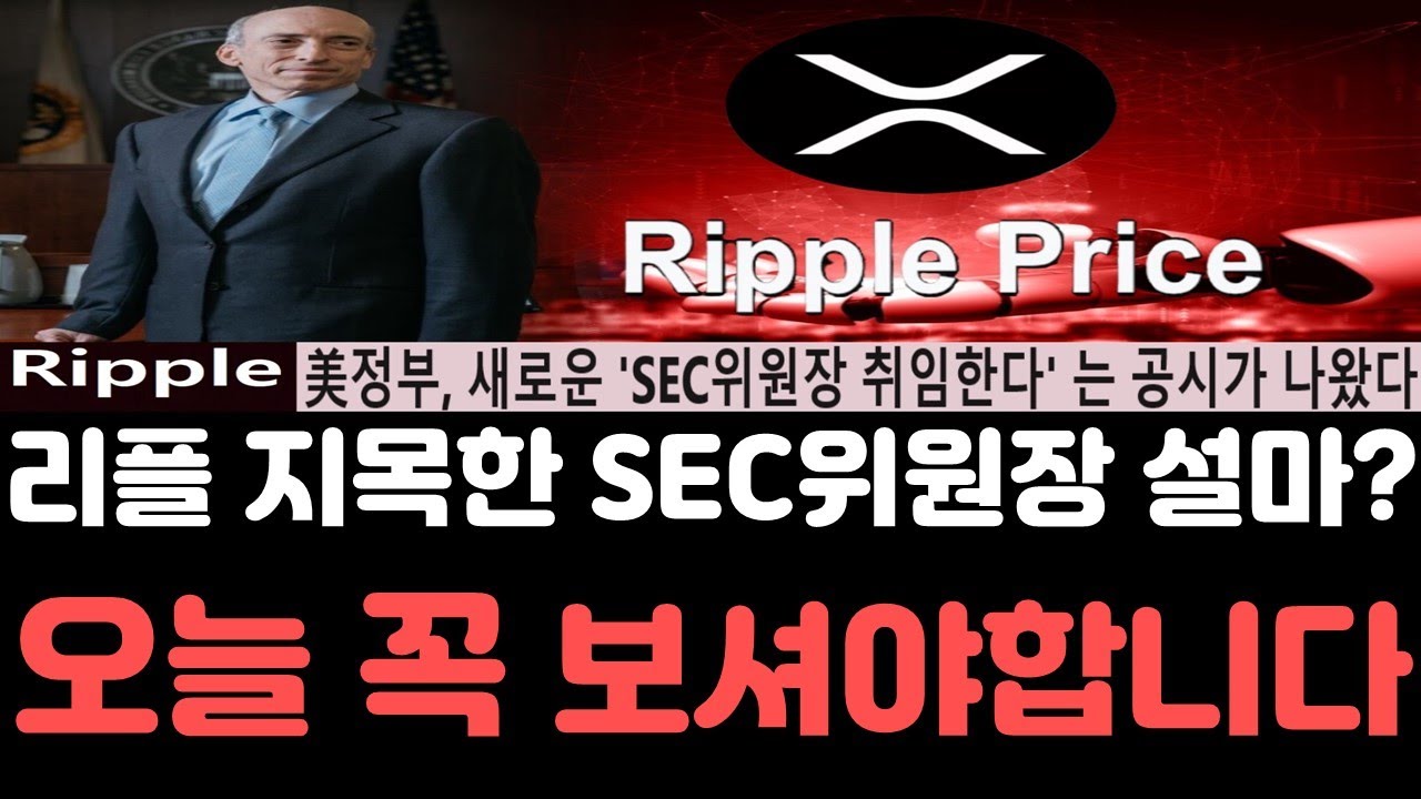 리플전망 리플 Sec위원장 직접 Xrp 승인한다 미국정부 Sec위원장 해임건가동 오늘 영상은 꼭 보셔야합니다 리플전망 리플호재 리플급등 리플코인 리플소송