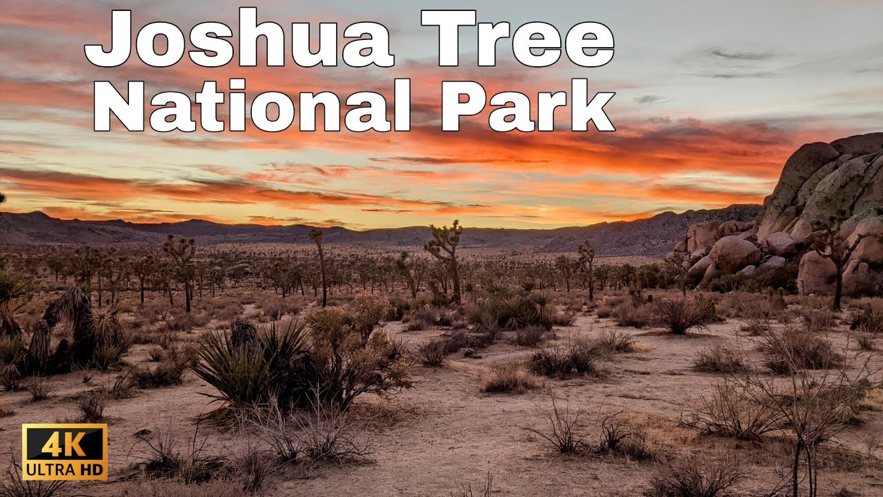 SUNSET WALK Joshua Tree National Park, Hidden Valley - 4K - YouTube