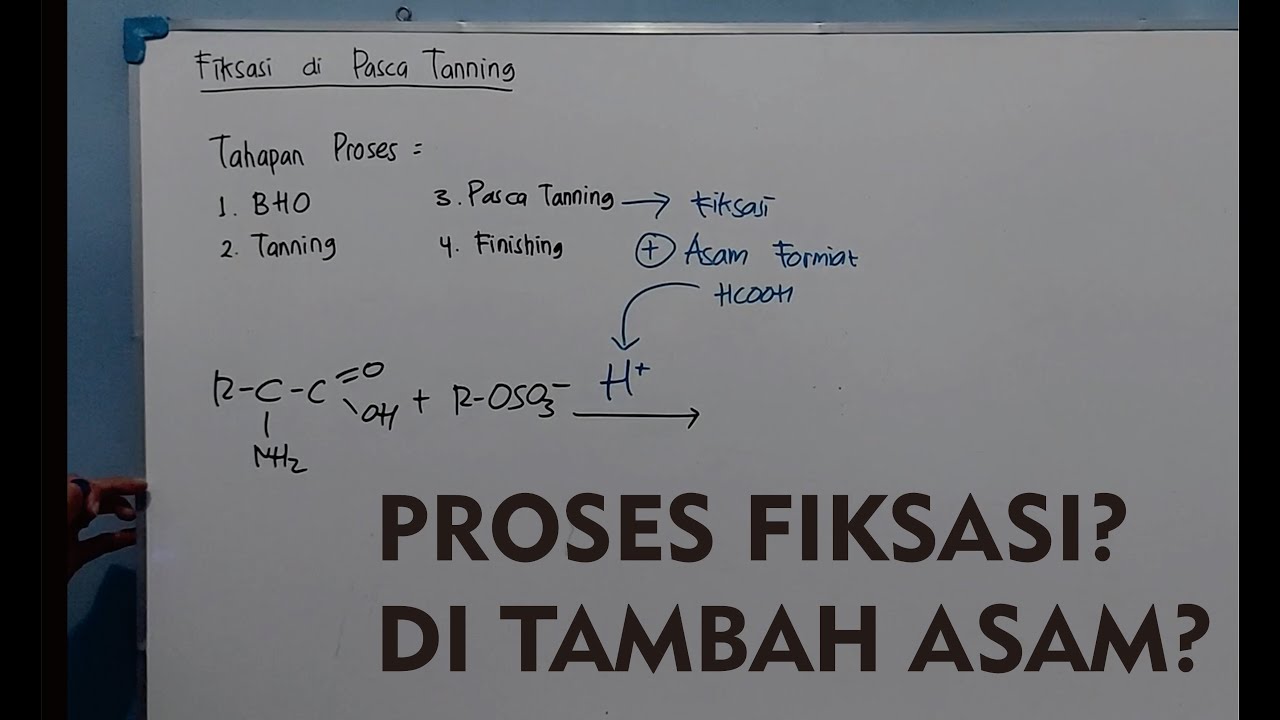 [teori]materi fiksasi - yang terjadi saat fiksasi penambahan asam - YouTube