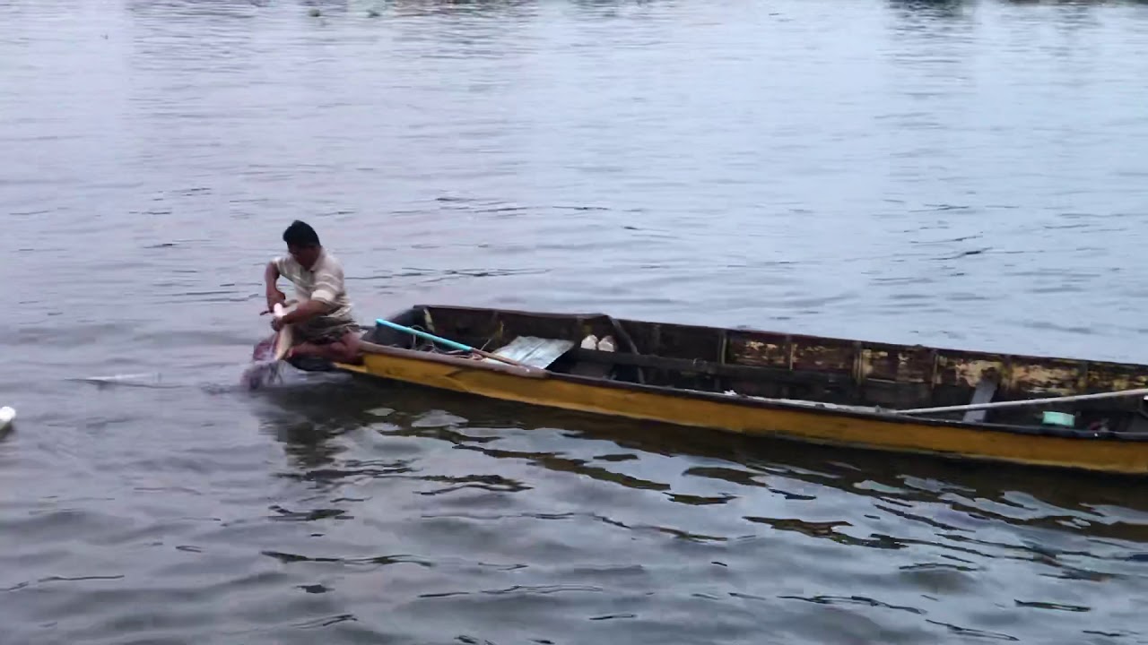 Morning Catch - YouTube