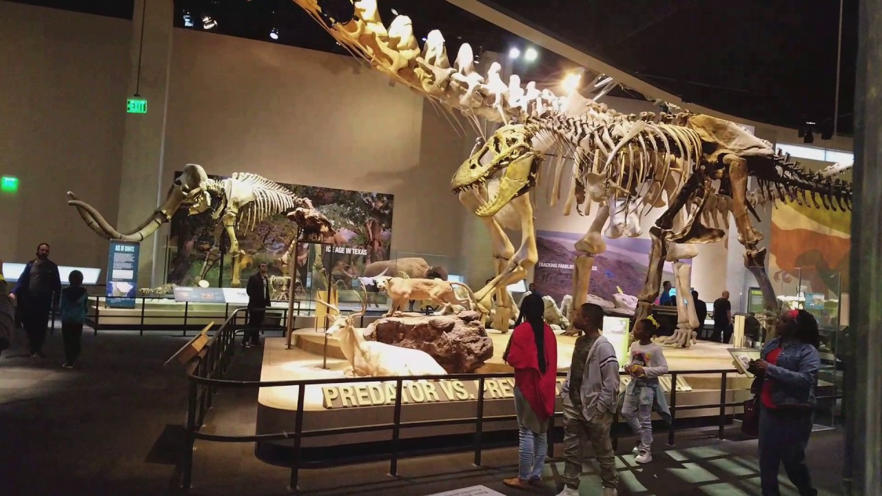 DINOSAUR EXHIBIT - PEROT MUSEUM OF NATURE AND SCIENCE PT. 1 - YouTube