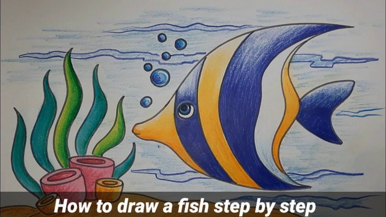 How to draw a fish step by step || fish drawing for kids || - YouTube