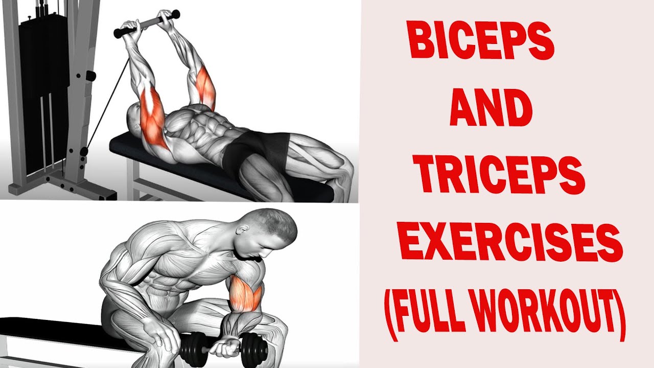 Biceps And Triceps Exercises Youtube
