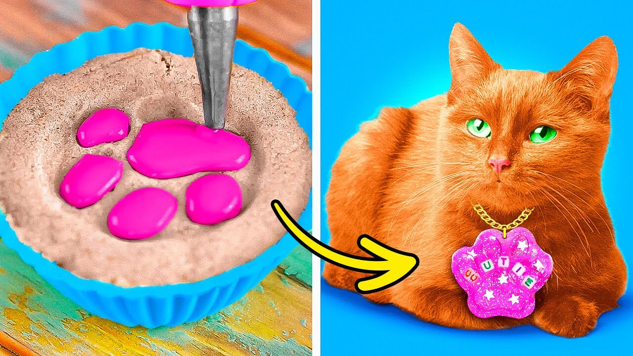 Genius Hacks for Smart Pet Owners 😻🐈 Best DIYs for Happy Pets and Their ...
