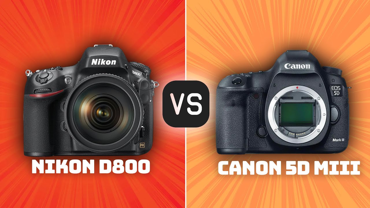 Nikon D800 vs Canon 5D Mark III: Which Camera Is Better? (With Ratings ...