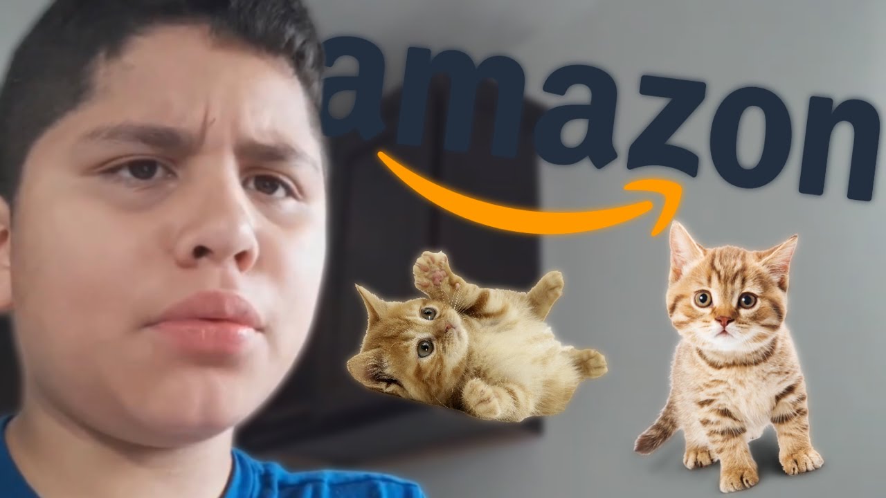 Amazon sells cats? - YouTube