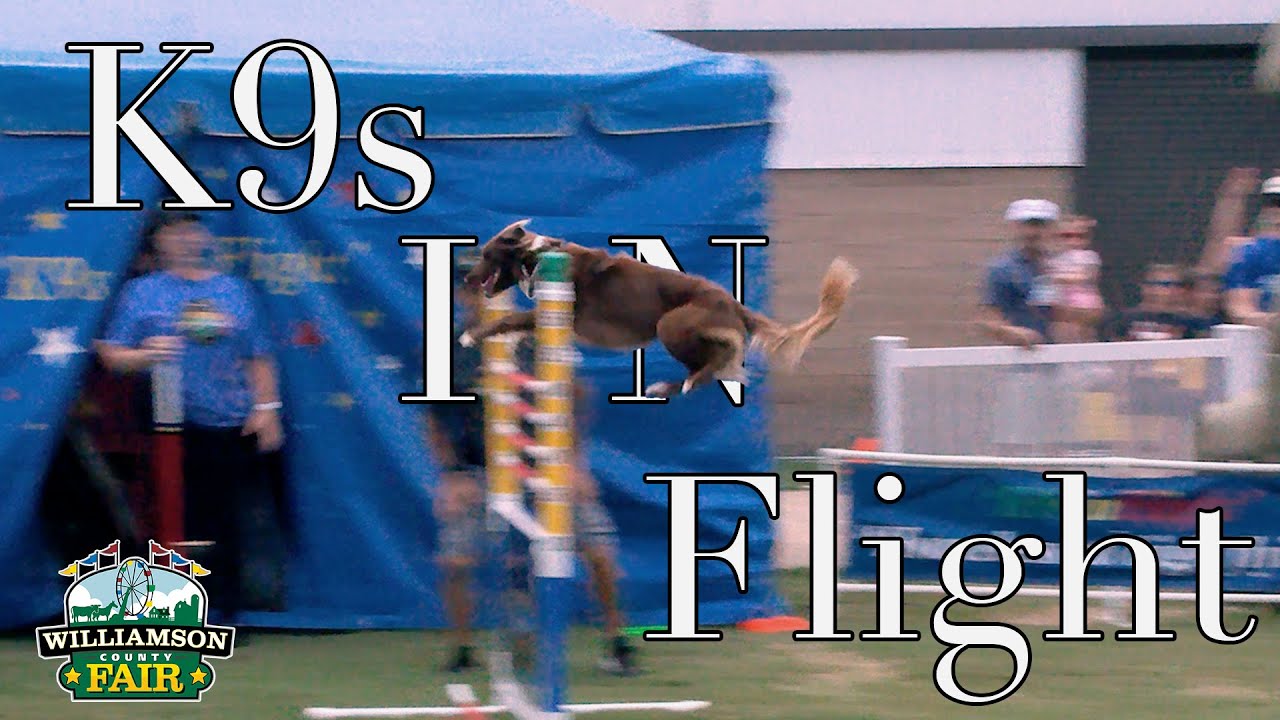 K9s in Flight (2025) - YouTube