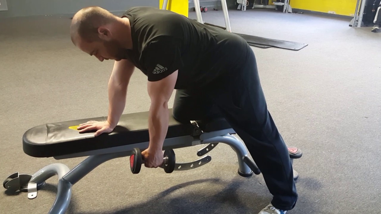 DB Scapula Retraction - YouTube