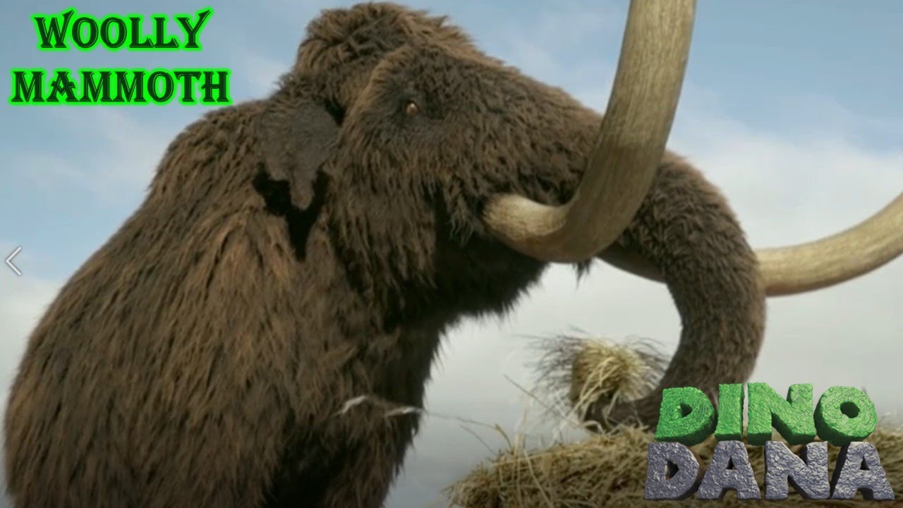 Dino Dana woolly mammoth - YouTube