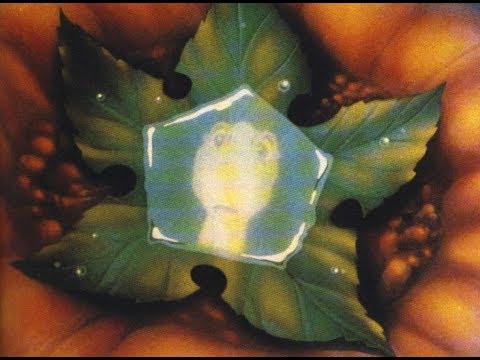 The Land Before Time: Littlefoot Must Find a Way - YouTube