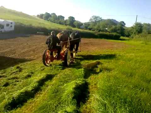 horses mowing hay with bamlett - YouTube