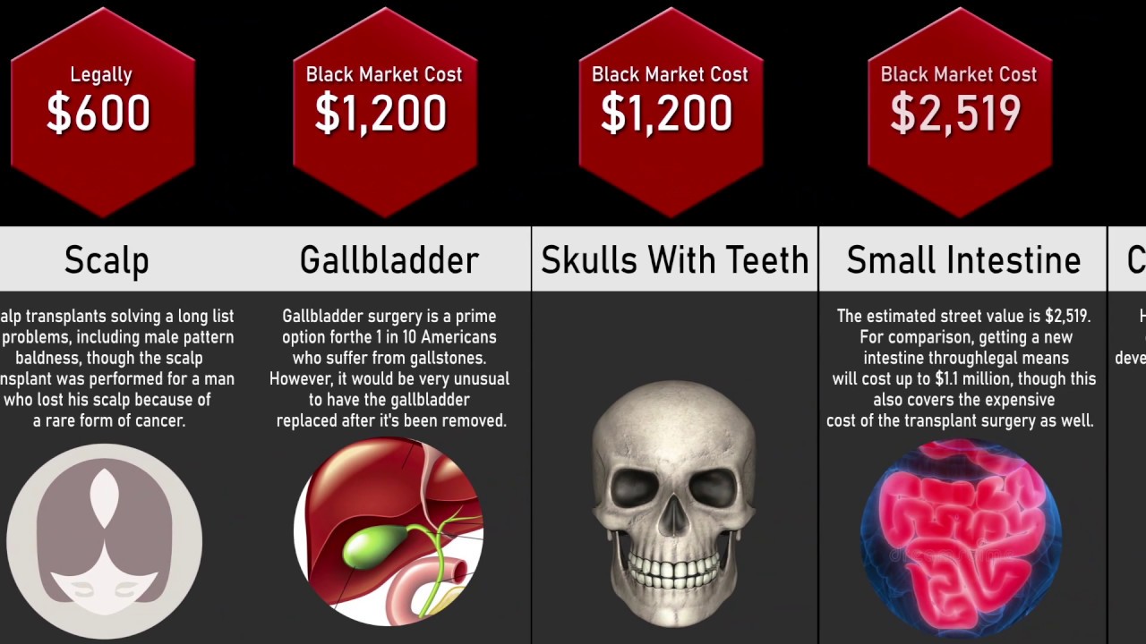 Price Comparison Human Organs Dark Comparison YouTube price-comparison-human-organs-dark-web-comparison-youtube