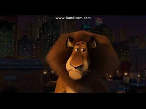 Madagascar - Alex talks to Marty and New York Song (Reversed) - YouTube