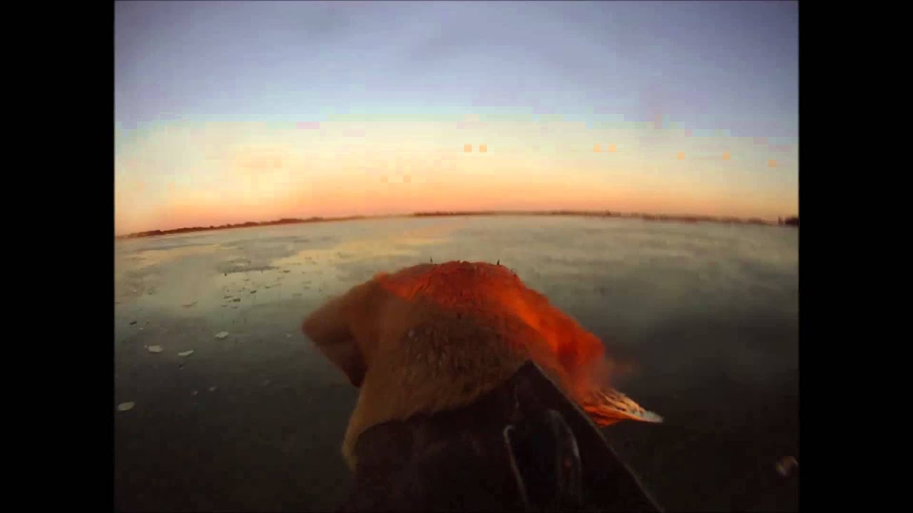 2015 2016 Duck Season Opening Weekend - YouTube