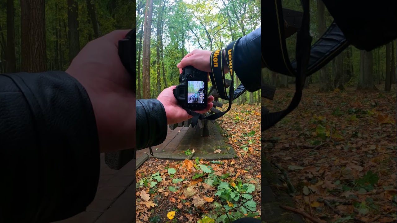 POV Nikon D3100 - Bench in the park in the autumn rain - nature photography