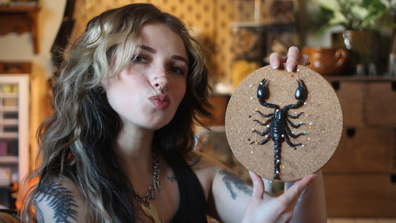Pinning a Scorpion (chaotically) - YouTube