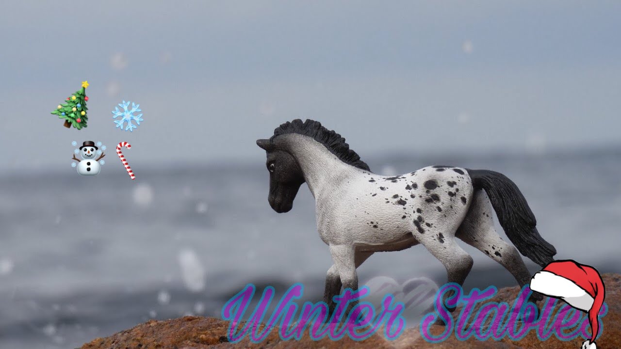 Winter Stables // Trailer - YouTube