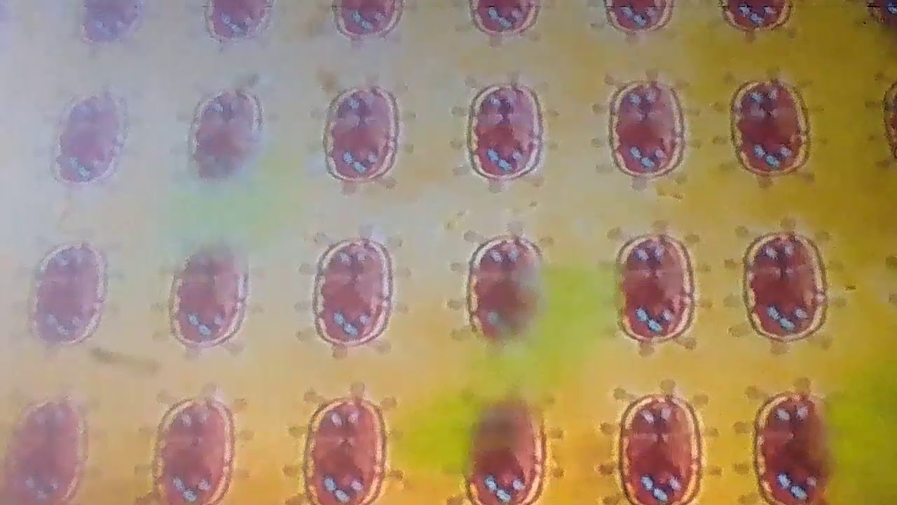 Amazing world of gumball bacteria short vid - YouTube