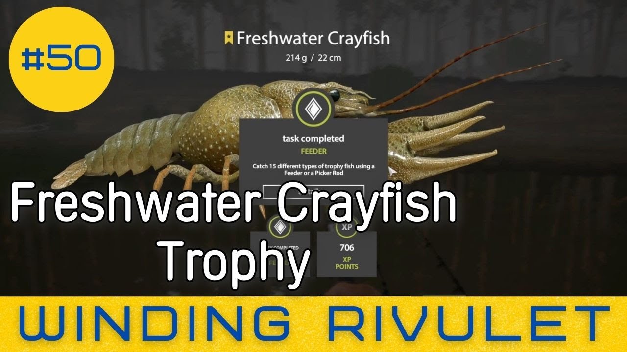 Russian Fishing 4 - Winding Rivulet - Freshwater Crayfish Trophy - #50 ...