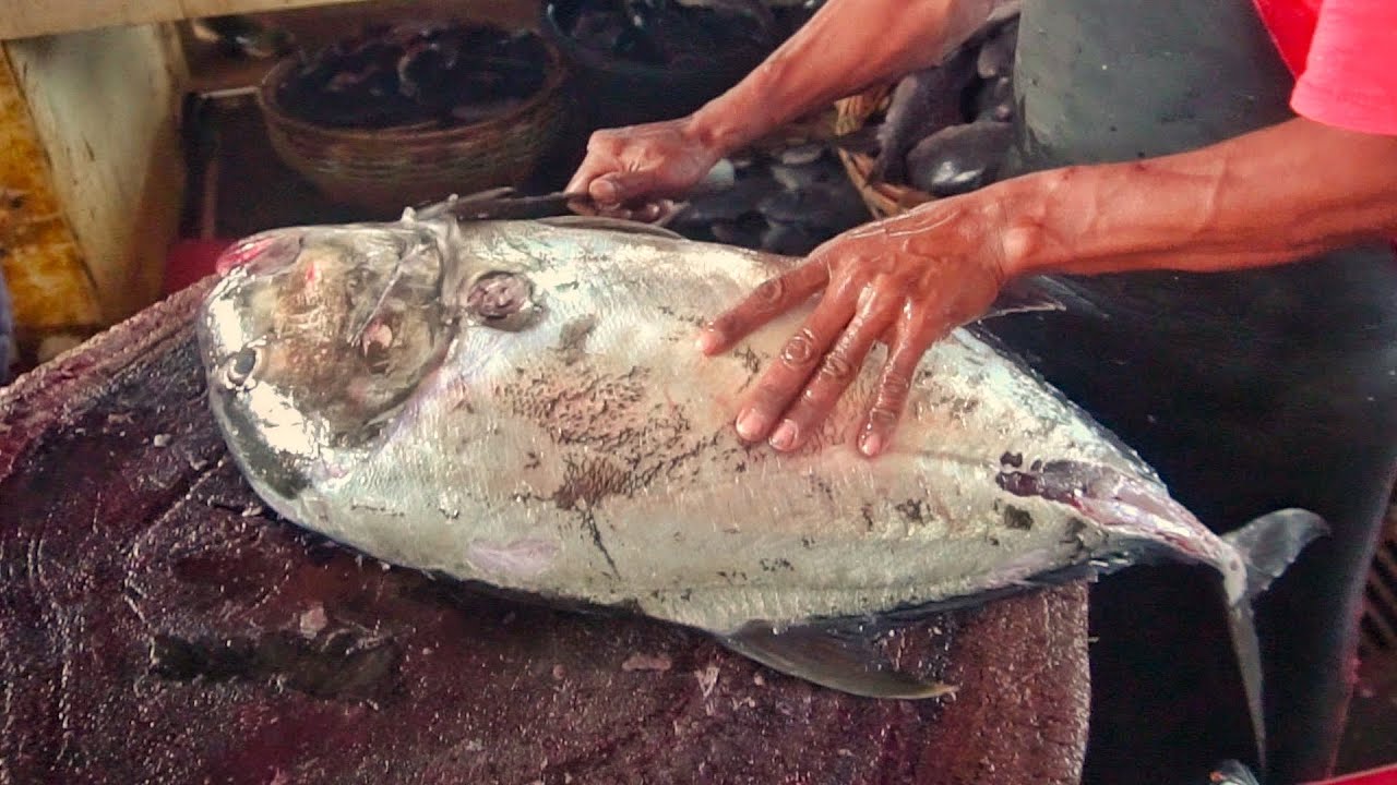 AMAZING CUTTING SKILLS || HUGE TREVALLY FISH IN ASIAN FISH MARKET - YouTube