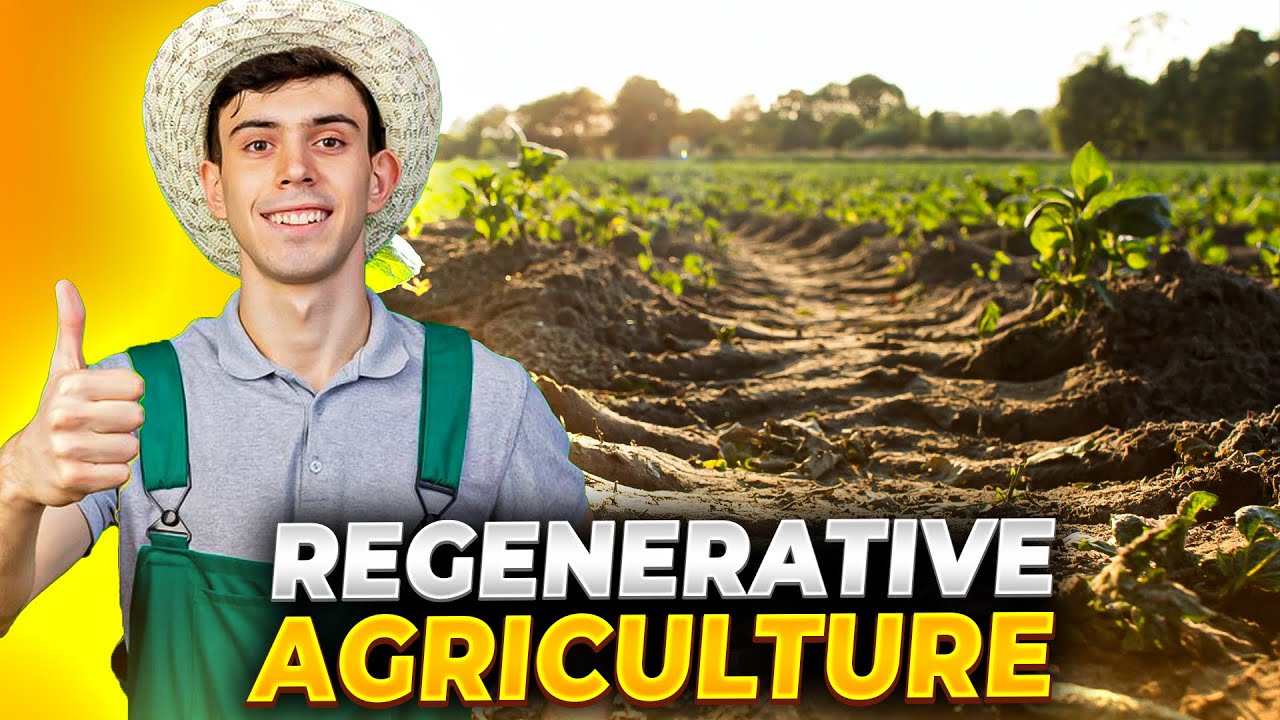 How Regenerative Agriculture Brings Life Back To The Land # ...