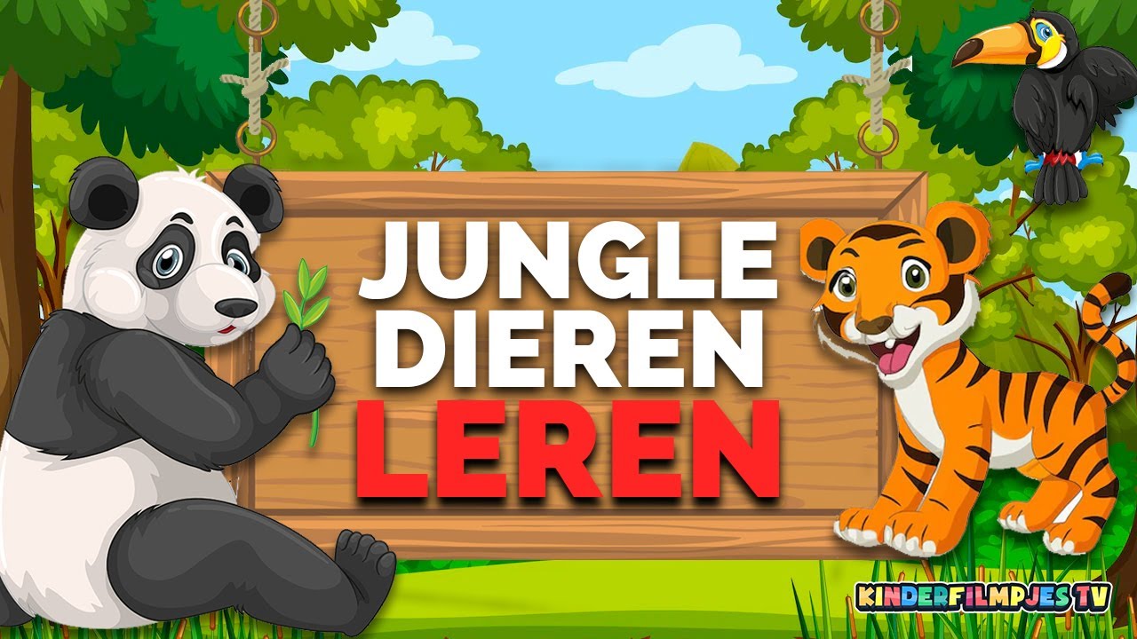Jungle Dieren Leren Nederlands🐼 | Leer Jouw Kind Alle Dieren! | NL ...