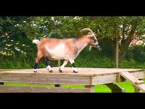 Warren Farm Holiday Centre video - 2011 - YouTube