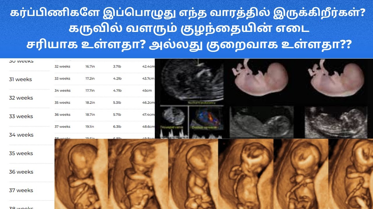 How Increase Fetal Weight During Pregnancy In Tamil Food To Increase how-increase-fetal-weight-during-pregnancy-in-tamil-food-to-increase