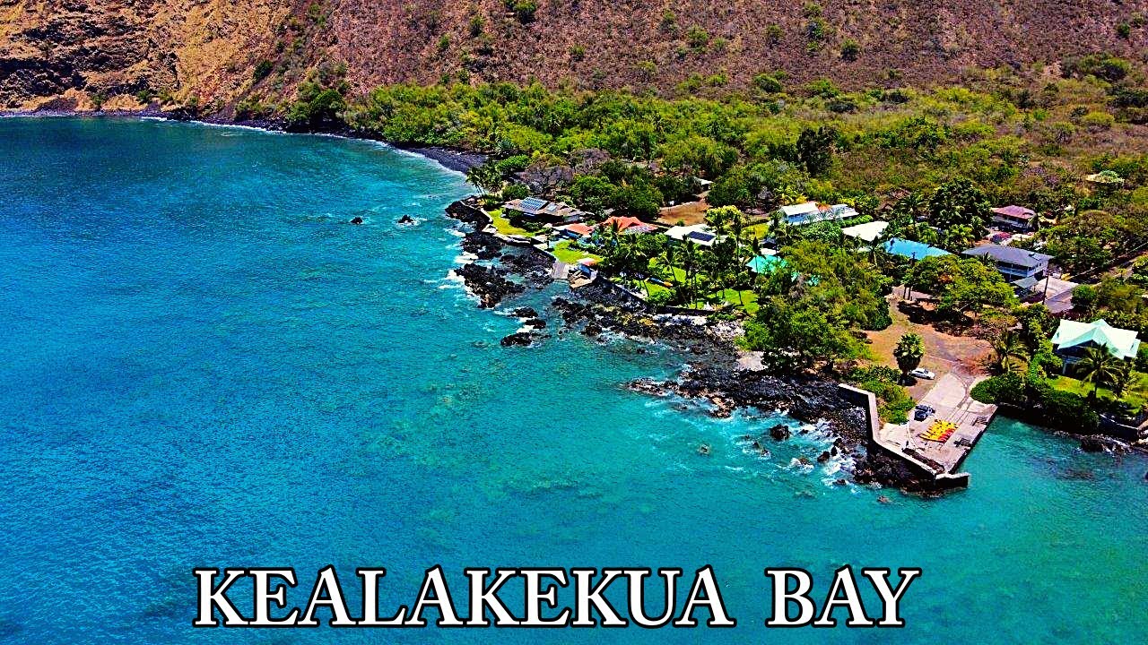 🐙Kealakekua Bay Guided Tour Reviews; Canoe Rides, Kayaking, and ...